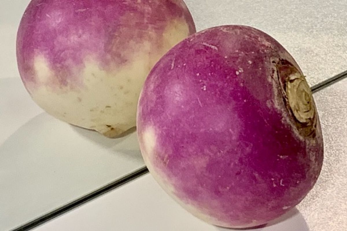 Le navet, un légume pas si rave que ça... - Le Populaire du Centre