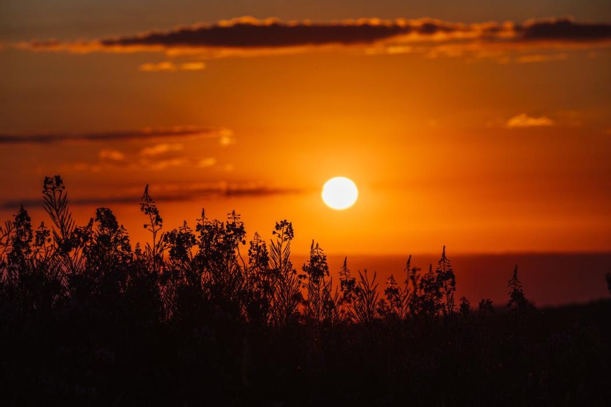 Un chercheur met en lumière les bienfaits d'observer les levers et ...