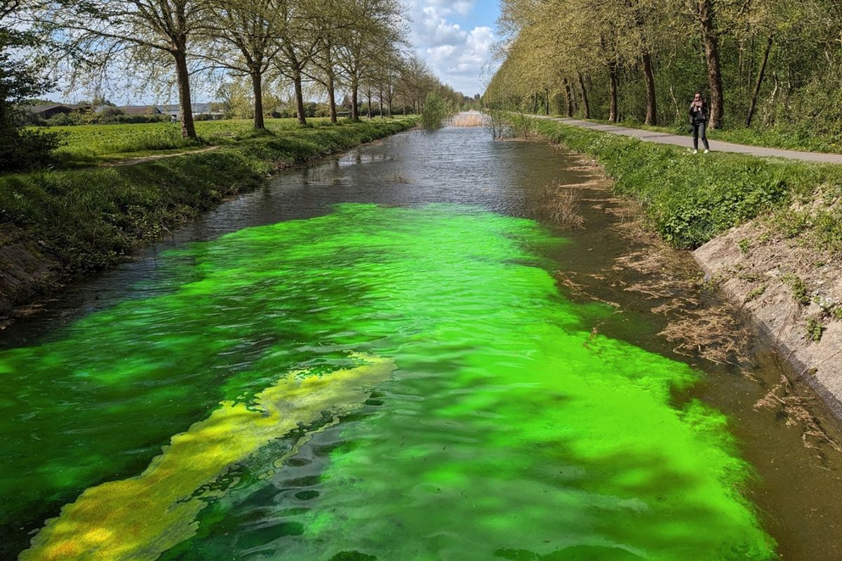 Pourquoi le canal de Berry est devenu vert fluorescent à Vierzon - Le ...