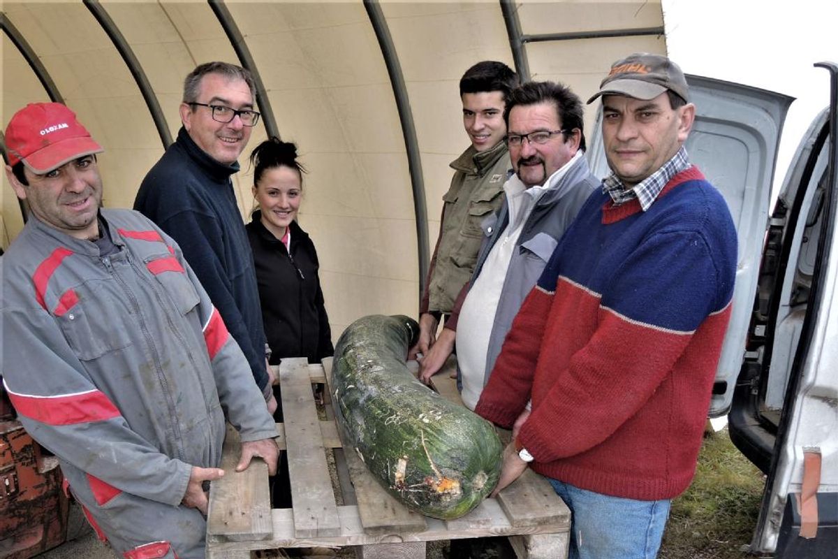 5.000 curieux au Mayet-de-Montagne (Allier) pour la plus grosse ...