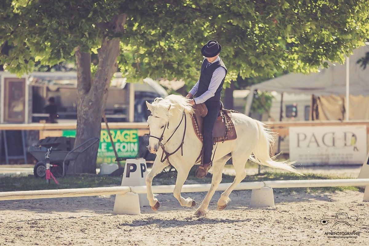 Geoffrey Léger vient de remporter le championnat de France d'équitation ...