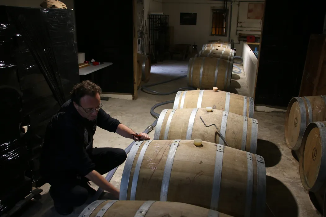 Vendanges : un procédé de vinification révolutionnaire au domaine du Clos du Paradis à Espaly ...