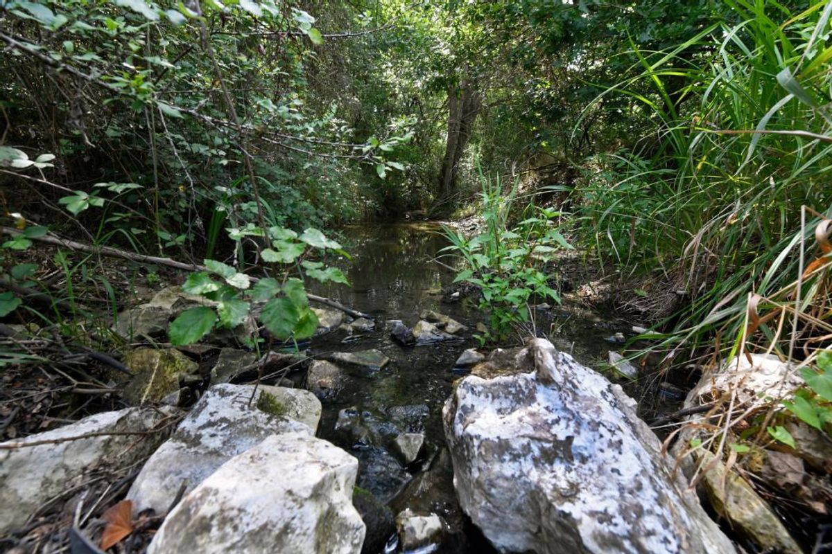 Vague de chaleur : limitation provisoire des usages de l'eau dans l'est ...