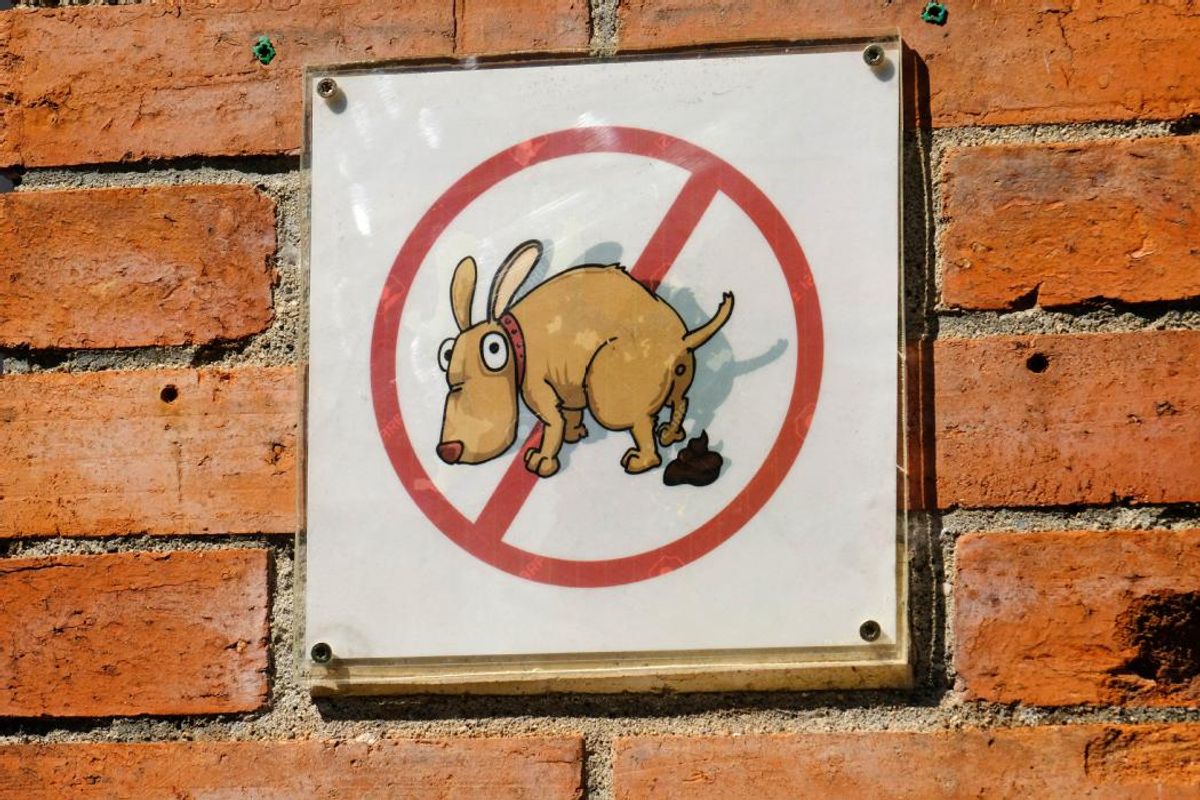 Il tire à la carabine sur ses voisins pour une histoire de crottes de ...