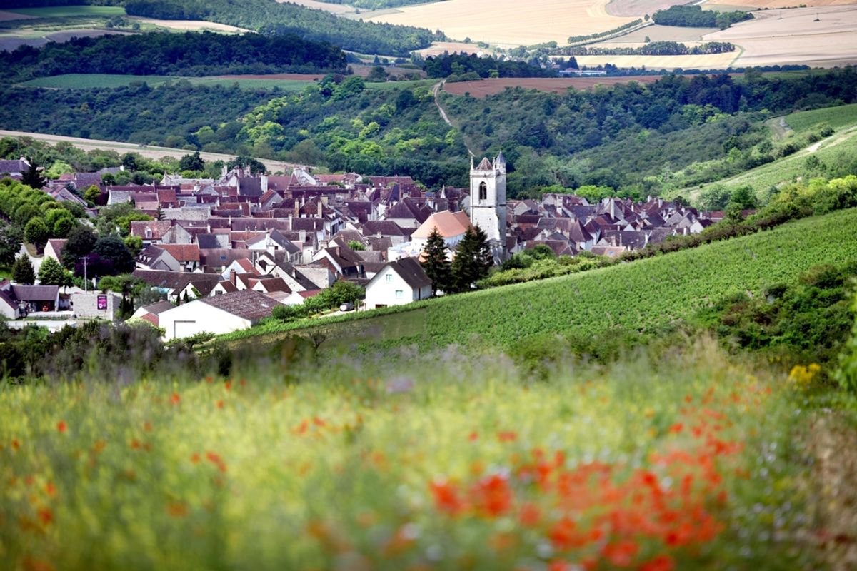 L'Yonne, le département de France qui a connu la plus forte croissance ...