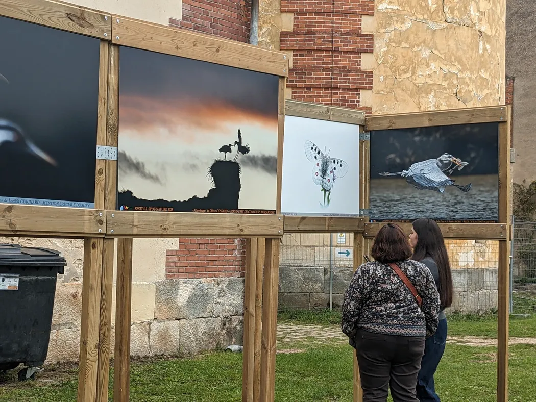 Festiphoto : Quarante photographes "d'une très bonne qualité" à la ...