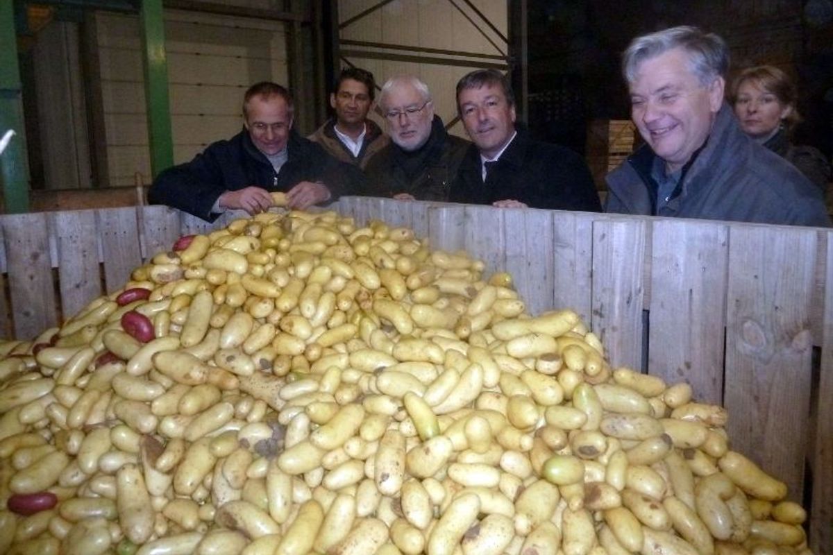 Il produit 25.000 tonnes de patates par an - L’Écho Républicain