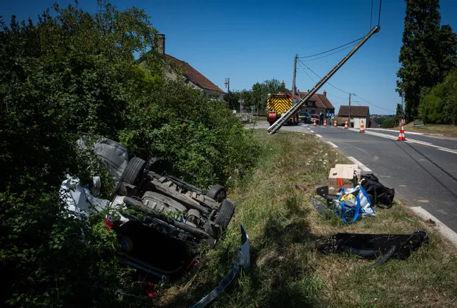 Un conducteur perd le contrôle à cause d'un frelon et finit sa course dans un poteau électrique ...
