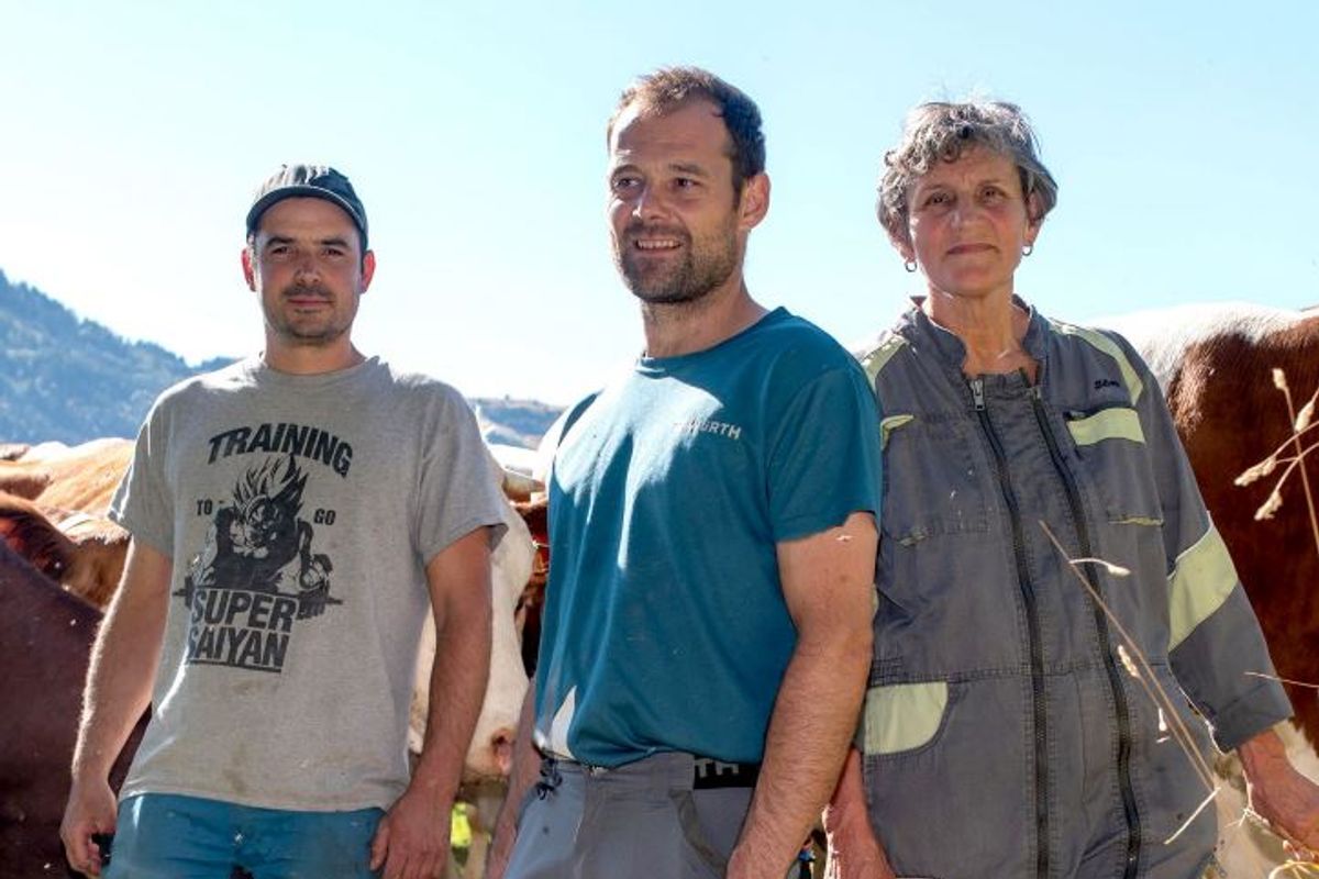"La ferme des Bertrand", le nouveau film de Gilles Perret, en avant ...