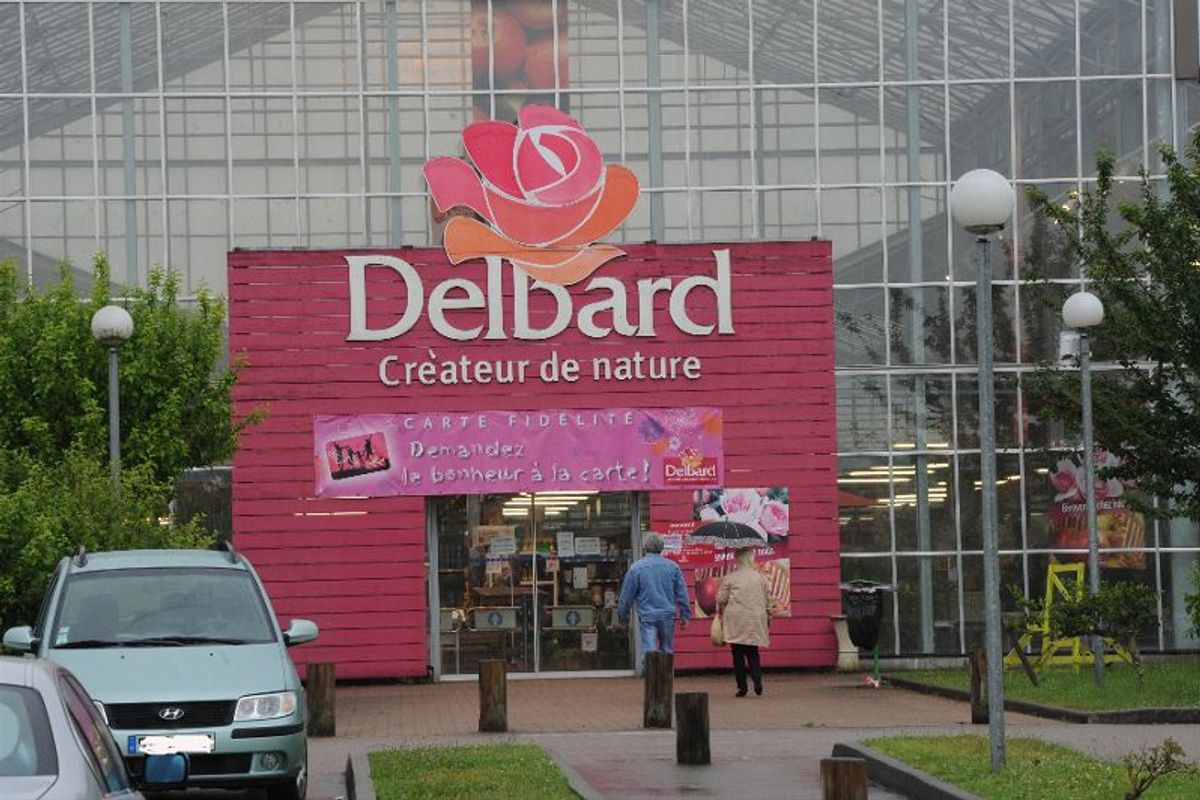 Bouquet final pour la jardinerie Delbard de la ZI nord de Limoges - Le ...