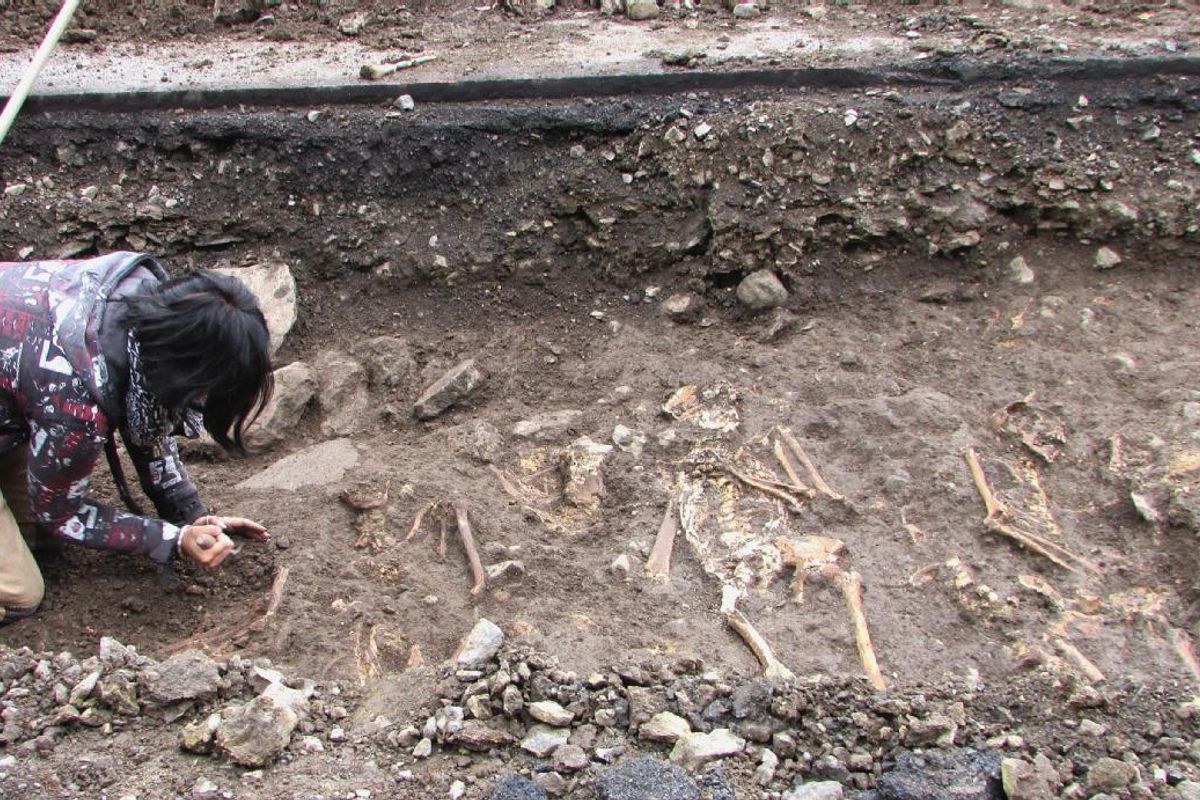 L'histoire de Mauriac (Cantal) se révèle sous le bitume de la place ...