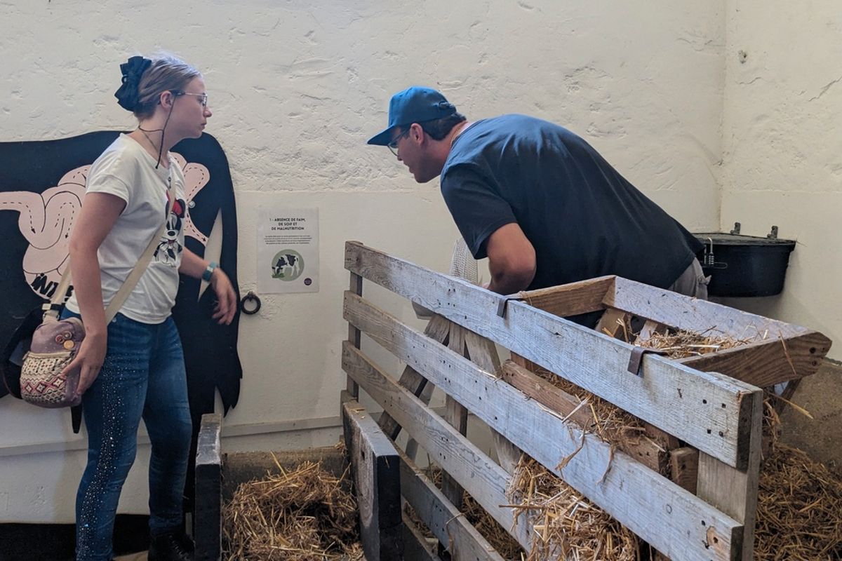 Escape game à la Bergerie nationale de Rambouillet : dans les secrets du fromage bio - L’Écho ...