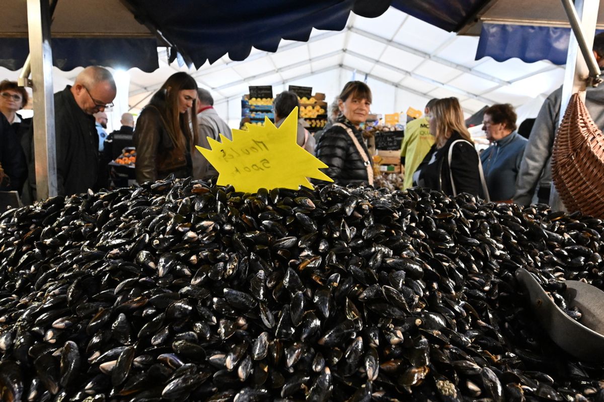 Cette foire incontournable de la Creuse a même un groupe WhatsApp à son ...