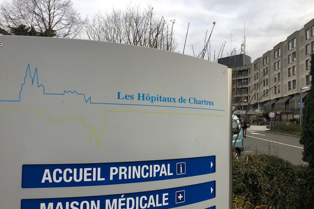 Opérée après avoir été mordue par un chien en Eure-et-Loir, une trentenaire a déposé plainte - L ...