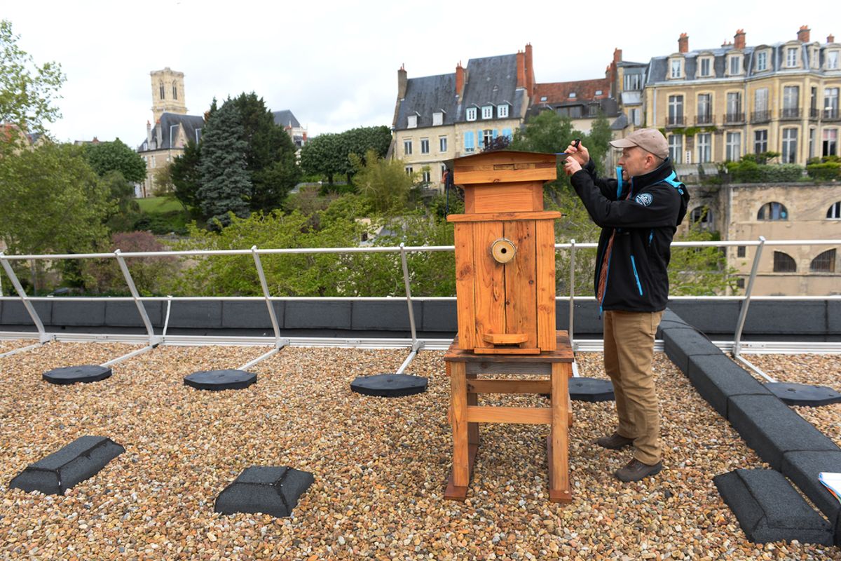 Pour favoriser la biodiversité, des ruches ont été installées sur les ...