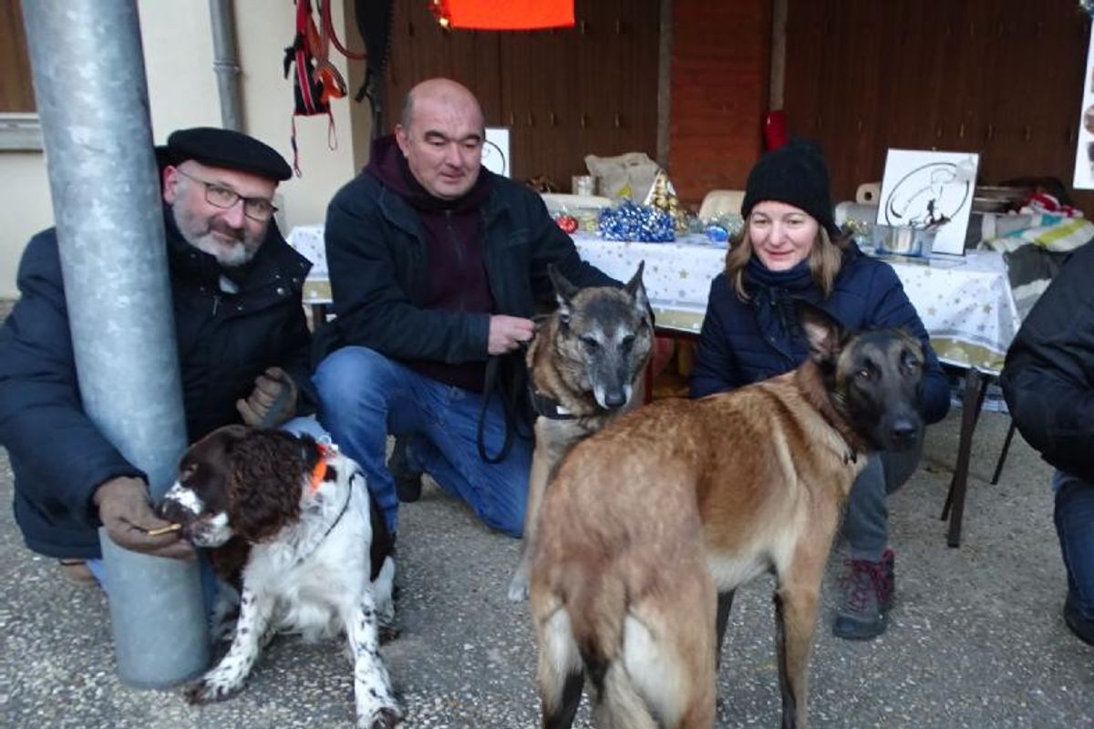 FOECY. Les Cani-Baroudeurs ont fait leur première sortie - Le Berry Républicain