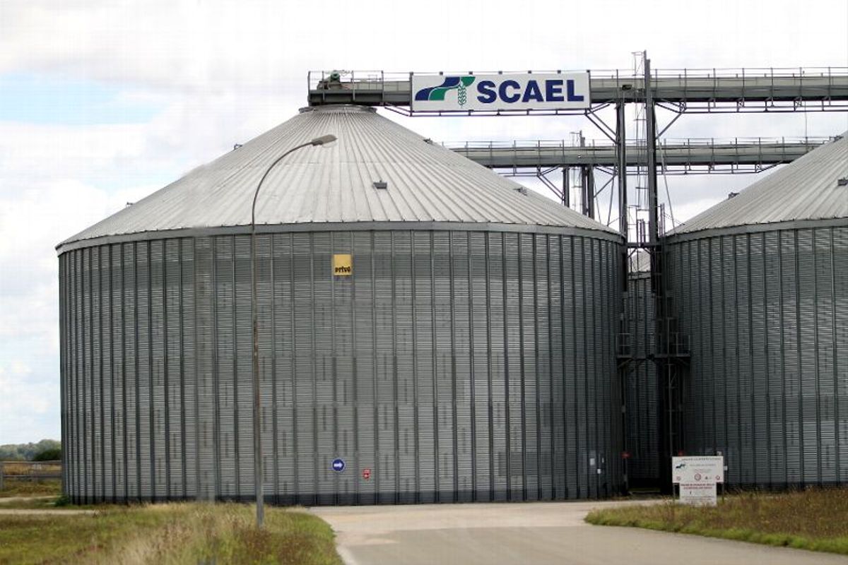 La Scael rejoint l’union de commercialisation Terris - L’Écho Républicain