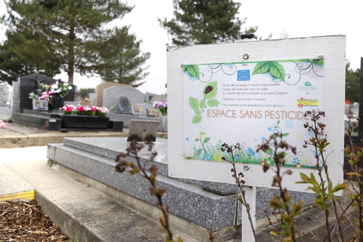 Entre l'inhumation et la crémation : l'humusation, l’aquamation et ...