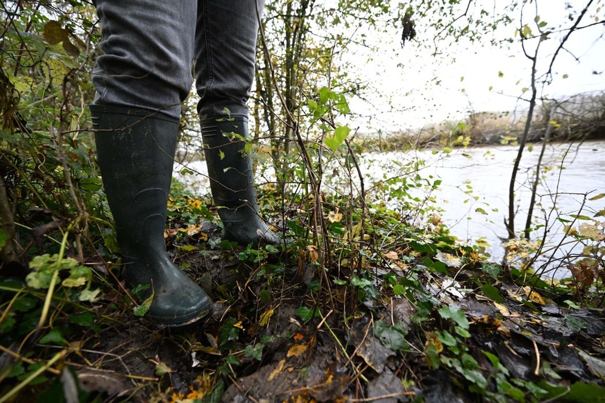 Un chasseur a-t-il découvert le crâne d'une nouvelle victime d'Émile ...