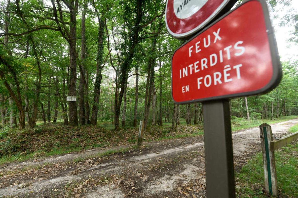 Risque de feux de forêt : une partie du Loiret passe à un niveau de ...