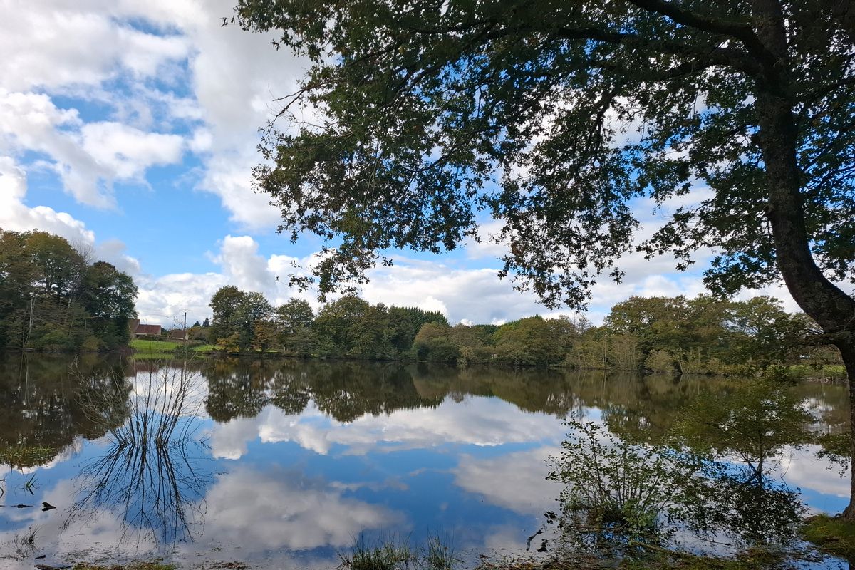 Un dimanche à Cromac, la perle du pays aux feuilles - Le Populaire du ...