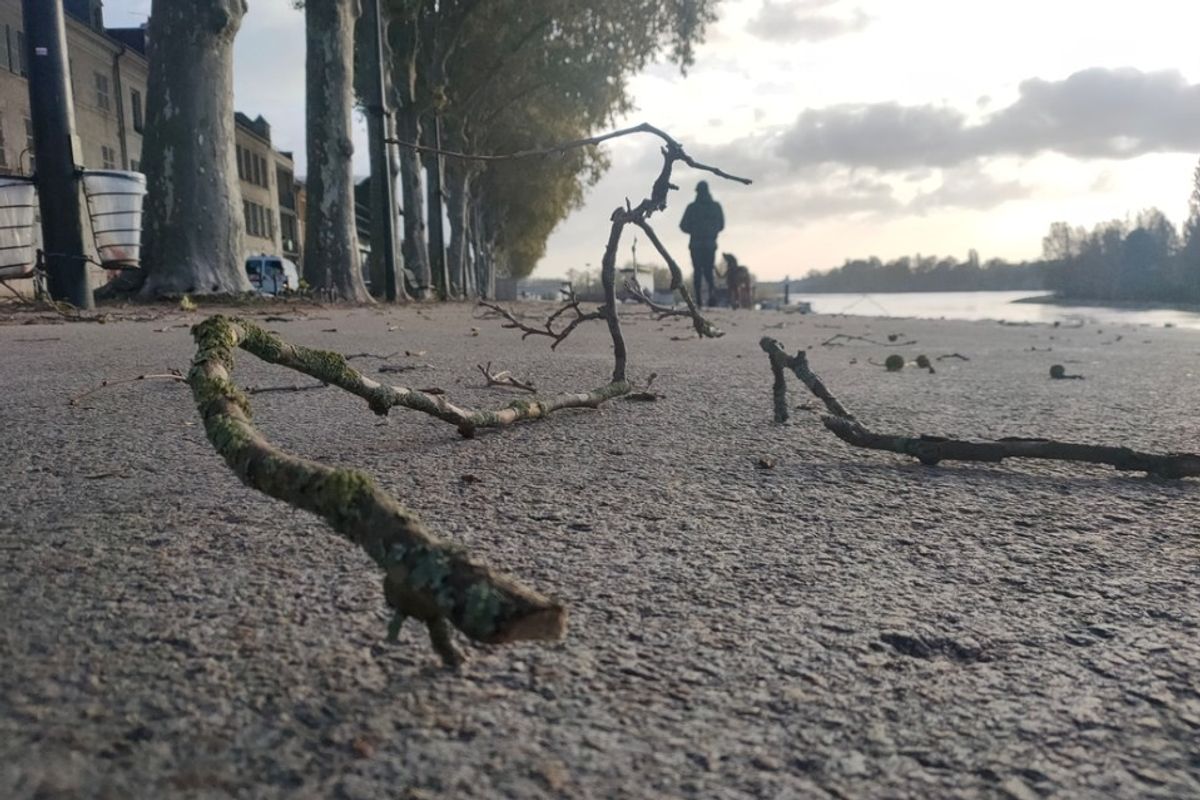 Après la tempête Nils et ses vents violents, le Loiret face à une ...