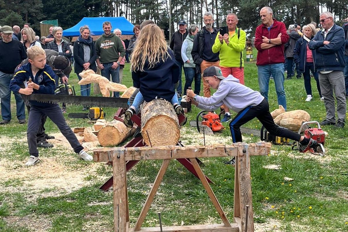 Une Fête du bois à renouveler - L’Éveil de la Haute-Loire
