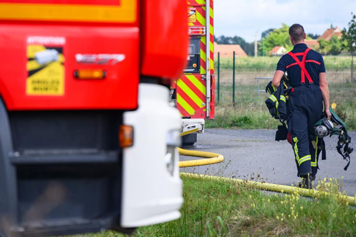 Tempête Benjamin : deux véhicules percutent un arbre sur une route de l ...