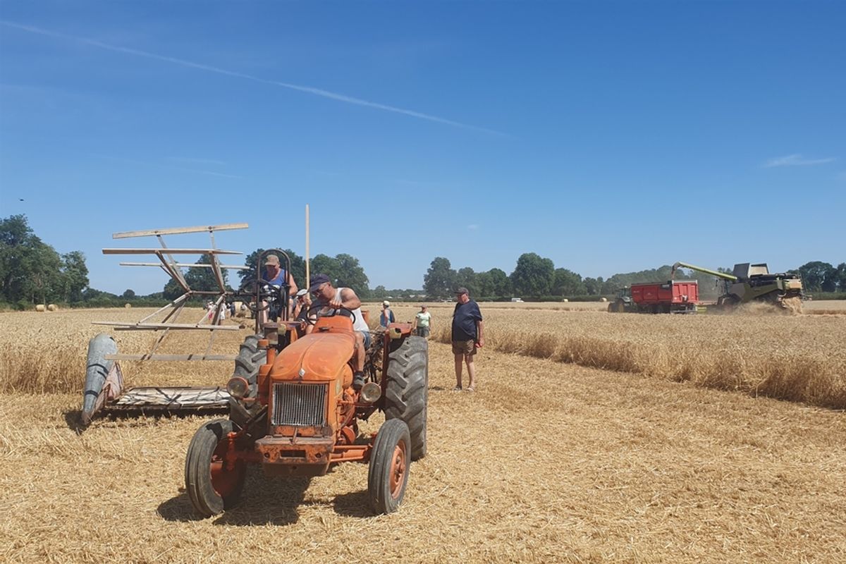 MOLINET. Découvrir l a moisson à l’ancienne - La Montagne