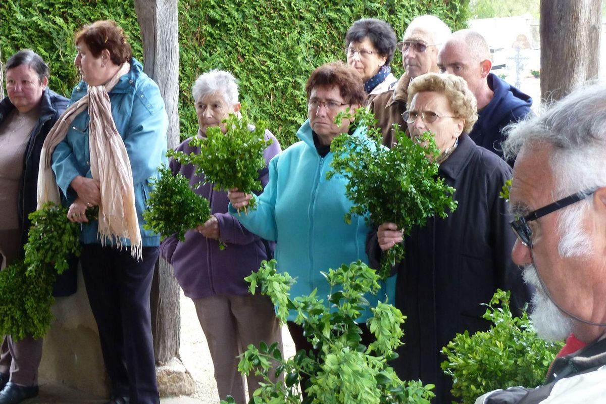 LOUPE. Les rameaux seront bénis dimanche - L’Écho Républicain