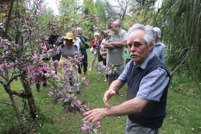 Découverte du patrimoine végétal au parc de Haute Combraille près de ...