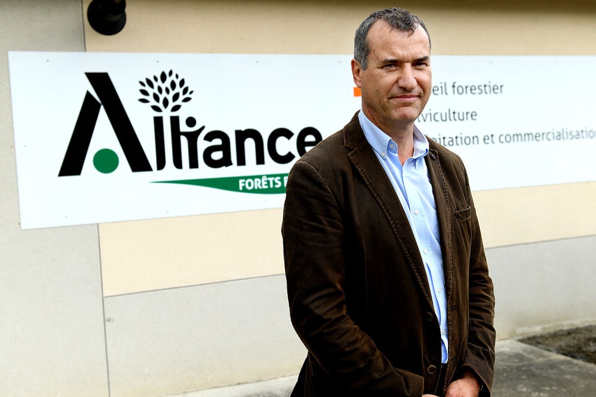 Alliance Forêts Bois, première coopérative forestière de France ...