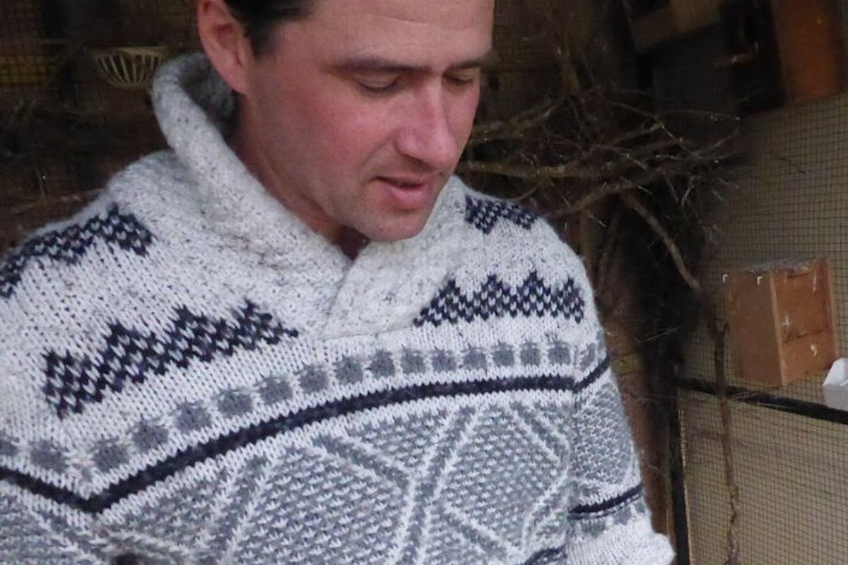 Quatre oiseaux exotiques d’Olivier Compain ont été médaillés d’or au ...