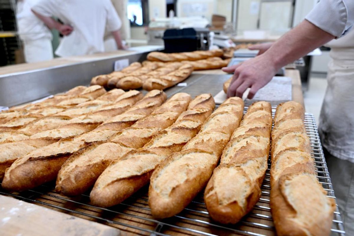 Le boulanger d'Eure-et-Loir toujours en course pour réaliser la ...