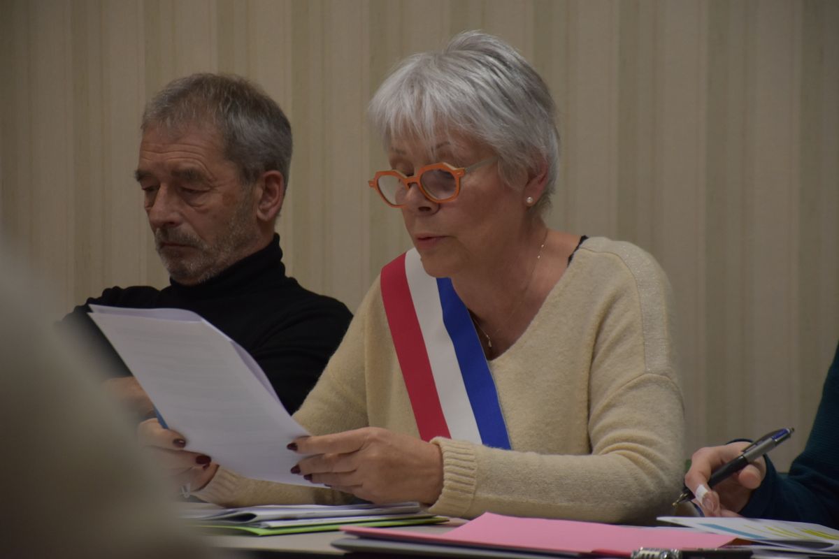 Danièle Carrouget, maire d'Yèvres : "Aller au bout de nos idées" - L ...