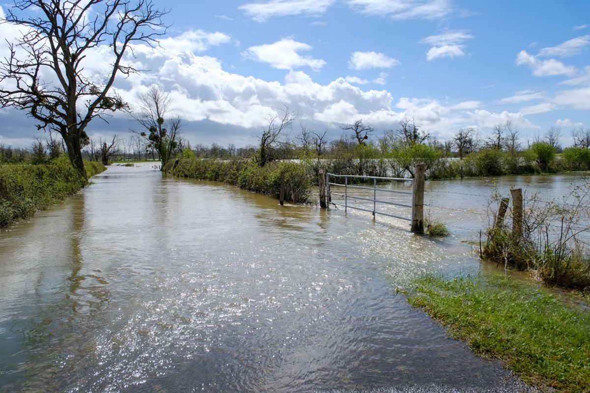 Dans l'Allier, l'ensemble des cours d'eau en décrue, après le pic ...