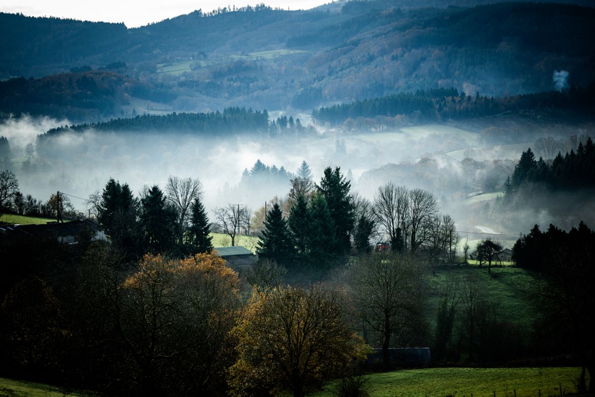 Une idée de ce qui pousse à vouloir maintenir un volume de forêts ...