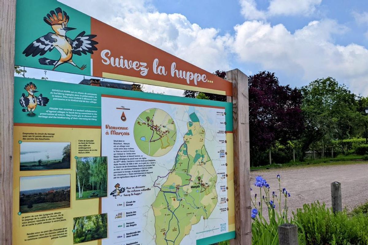 Les animations du programme “Suivez la huppe !” en 2025 dans le ...