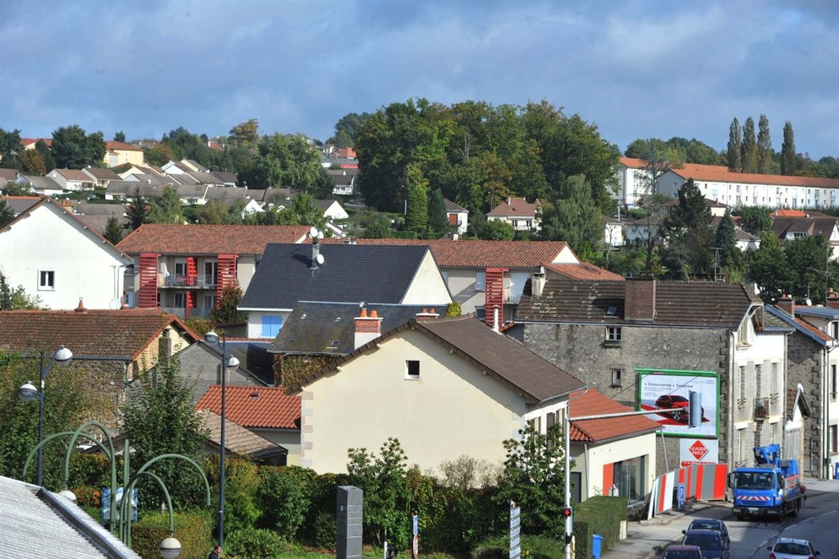 Départementales : dans le canton Limoges-5, Le Palais-sur-Vienne et ...