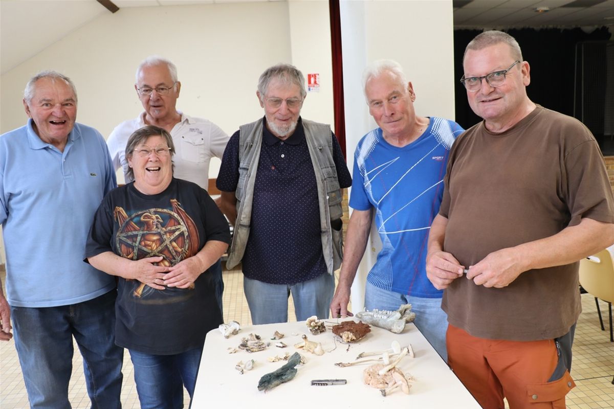 THORIGNY SUR OREUSE. Une collecte de champignons décevante - L'Yonne ...