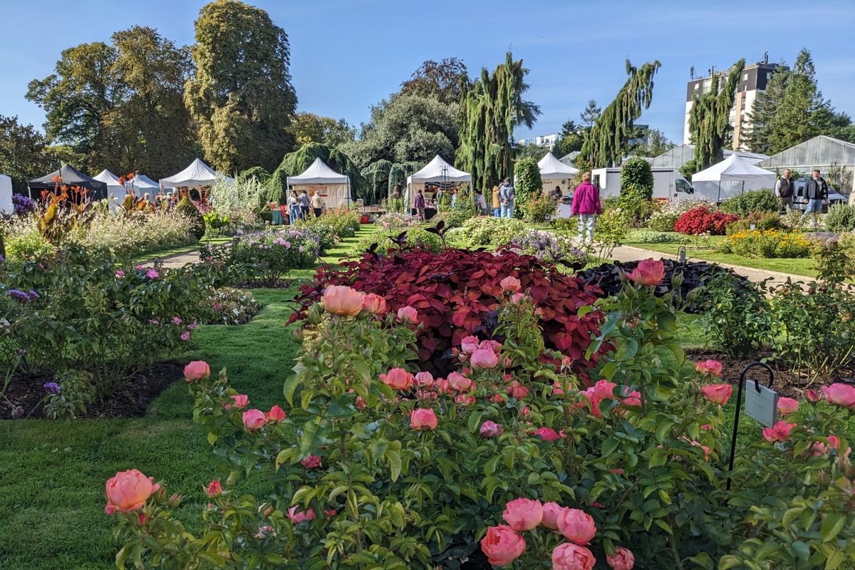 Ciel bleu pour Nuances de roses, tout le week-end, au Jardin des ...