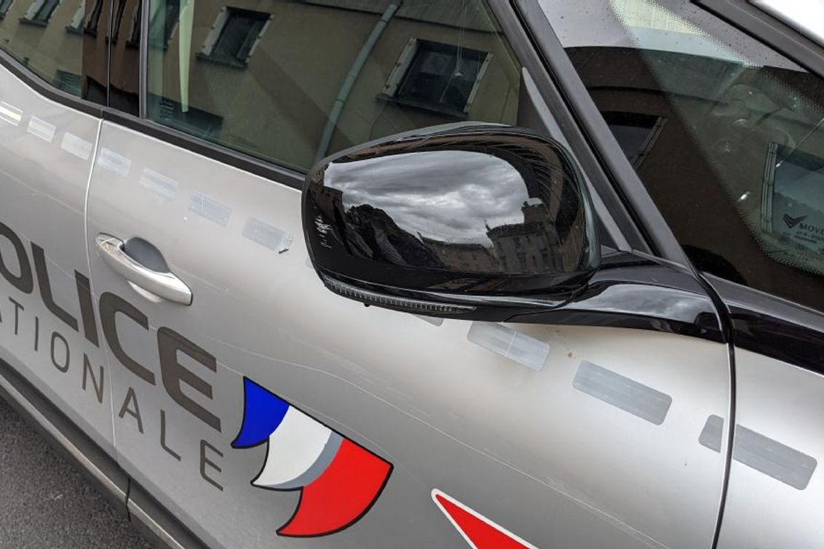 Maltraitance animale : 27 animaux dont des chiens et des chats saisis à ...