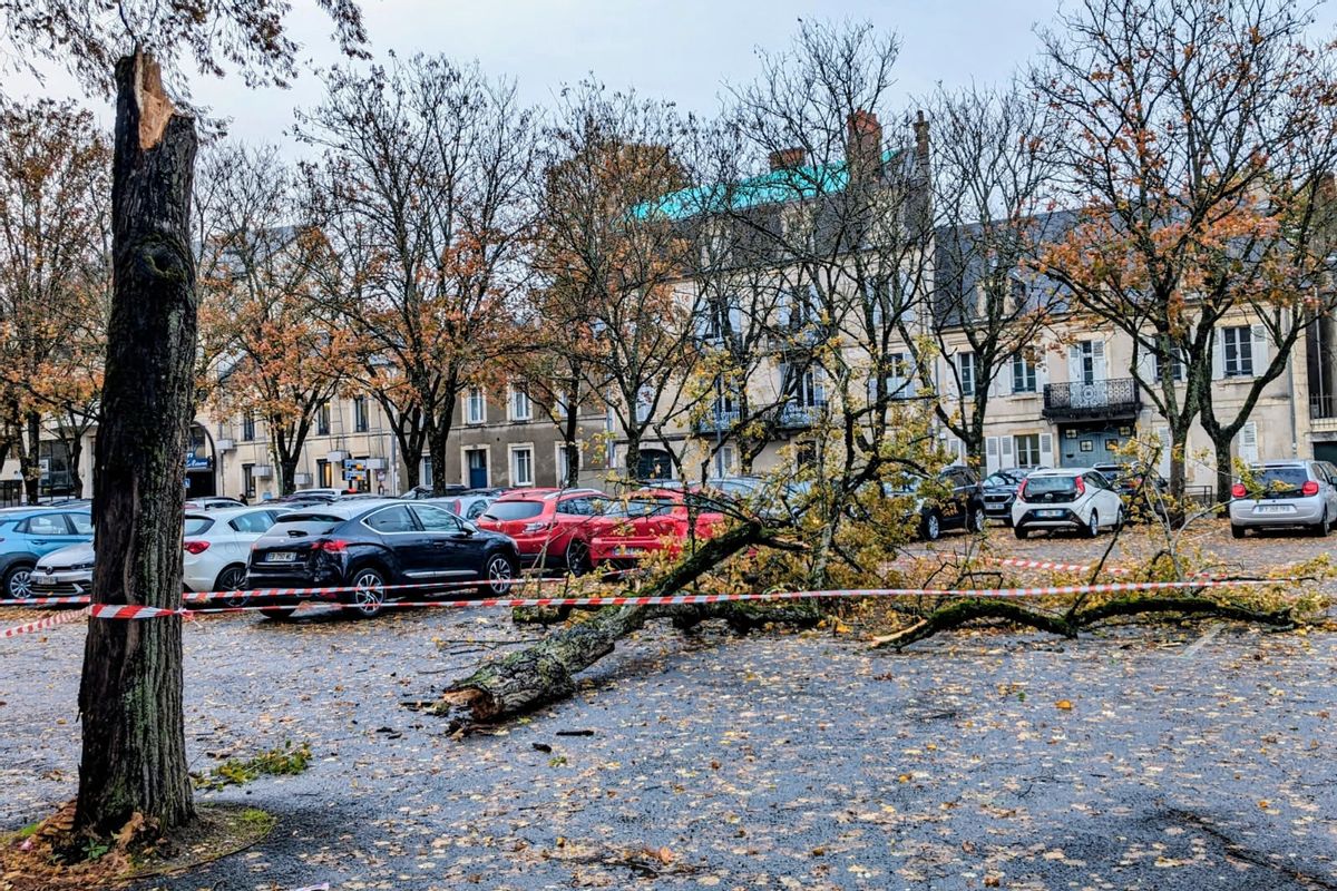 Tempête Benjamin : 1.330 clients d'Enedis privés d'électricité dans le Cher - Le Berry Républicain