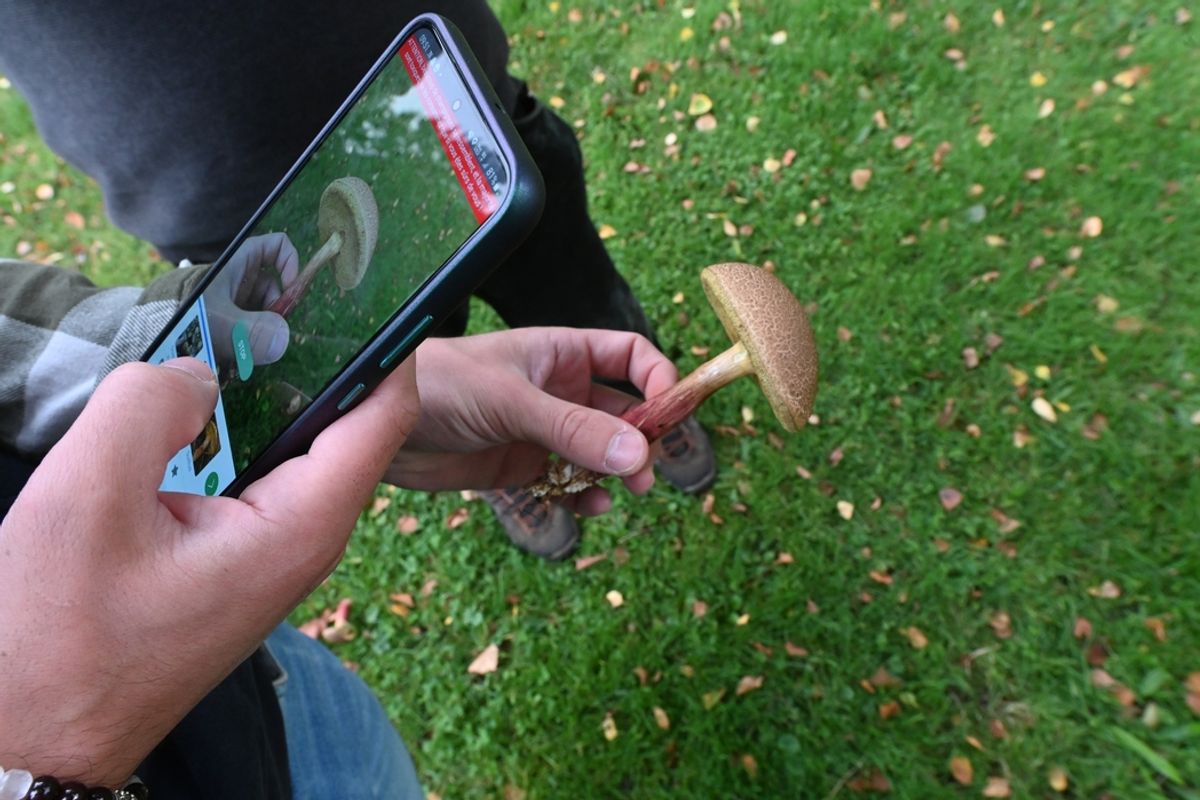 Pourquoi il est déconseillé d'utiliser une application de ...