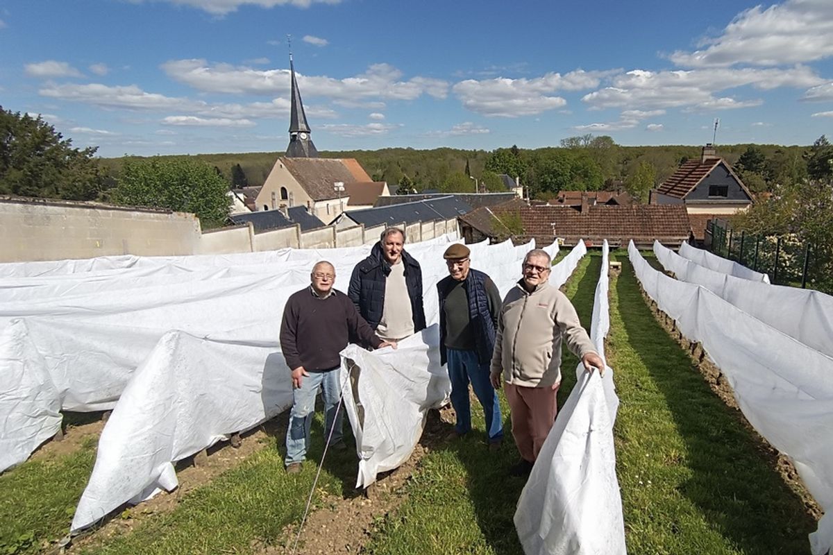 SAINT PREST. Le Saint-Prestois dans de beaux draps - L’Écho Républicain