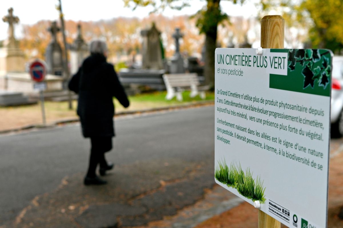 Pourquoi de plus en plus d'obsèques prennent en compte la protection de ...