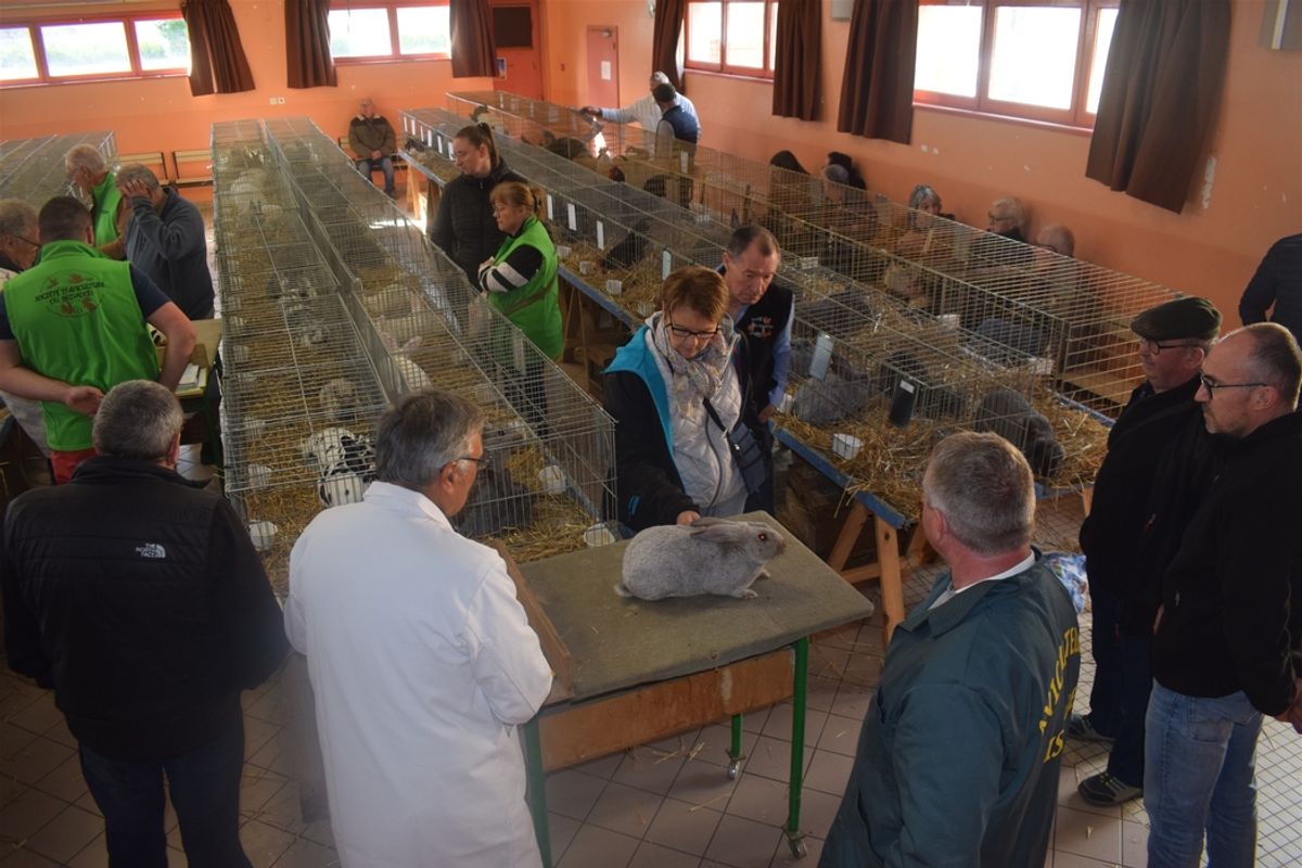 SAUXILLANGES. Les meilleurs aviculteurs au rendez-vous - La Montagne