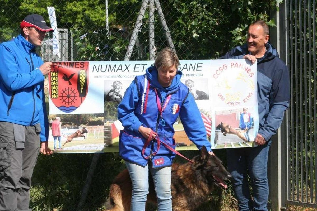Le club cynophile en forme - La République du Centre