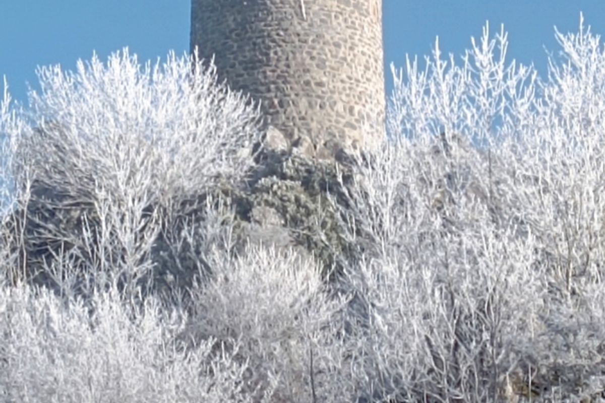Première marche de l’année pour les Barons de Roche-en-Régnier - L ...