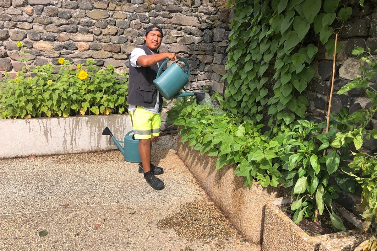 SAINT PAULIEN. Les jardiniers embellissent la cité - L’Éveil de la ...